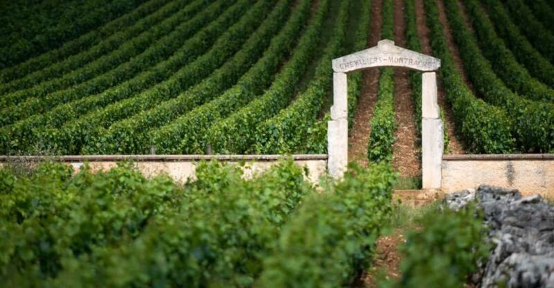Burgundy Vineyards: Luxury Private Tours - The Cost and Value