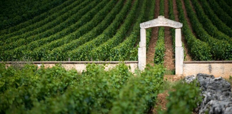 Burgundy Vineyards: Luxury Private Tours - FAQ