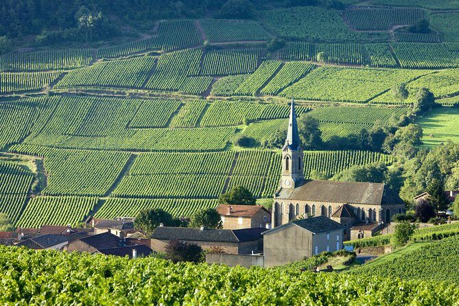 Burgundy Wine Tasting Small-Group Tour in Chablis from Paris - What to Expect from the Tour