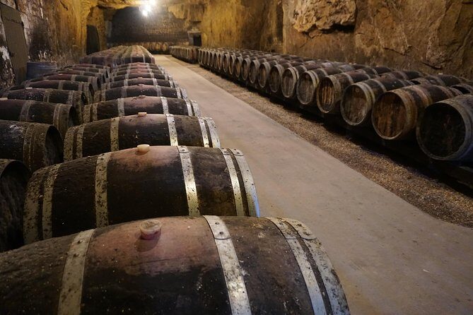 Burgundy Wine Tasting Small-Group Tour in Chablis from Paris - Who Should Consider This Tour
