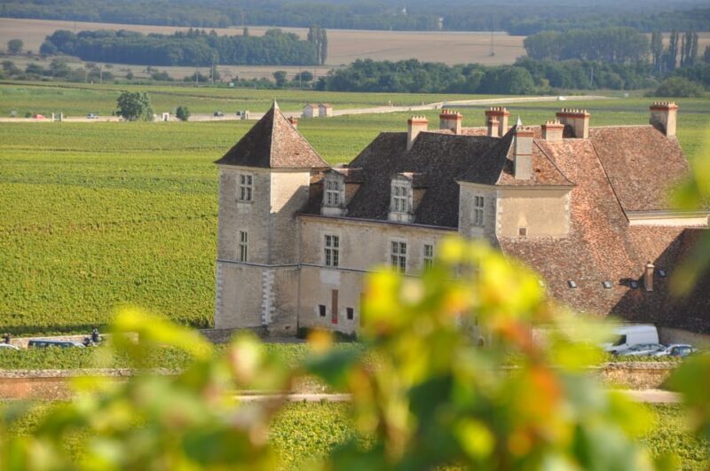 Burgundy Wines Full-Day Tasting Tour from Dijon - Starting Point and Logistics: Easy, Convenient, and Flexible