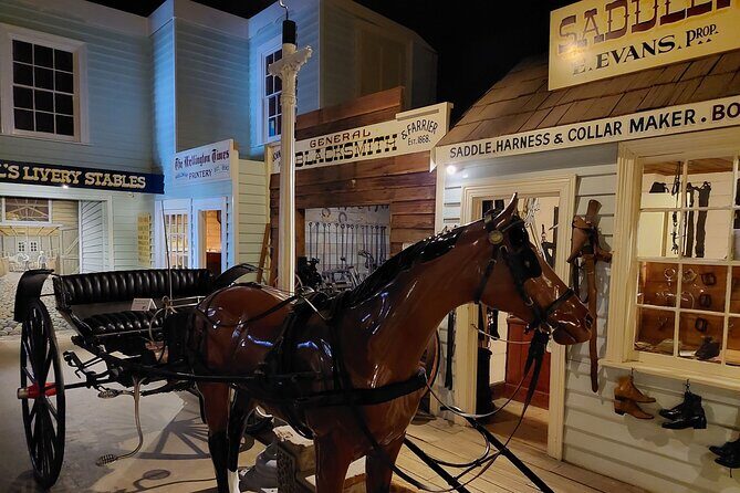 Burnie Attractions Bus: Burnie Shore Excursion - A Deep Dive Into the Experience