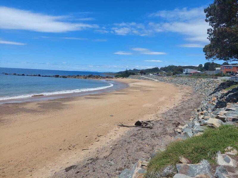 Burnie Attractions Bus - FAQ