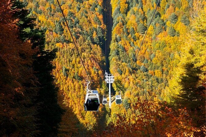 Bursa And Uluda Tour From stanbul with Cable Car & Lunch - Transportation and Logistics