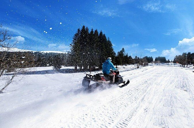Bursa and Uluda Tour from stanbul with Lunch & Cable Car - Shopping and Local Flavors