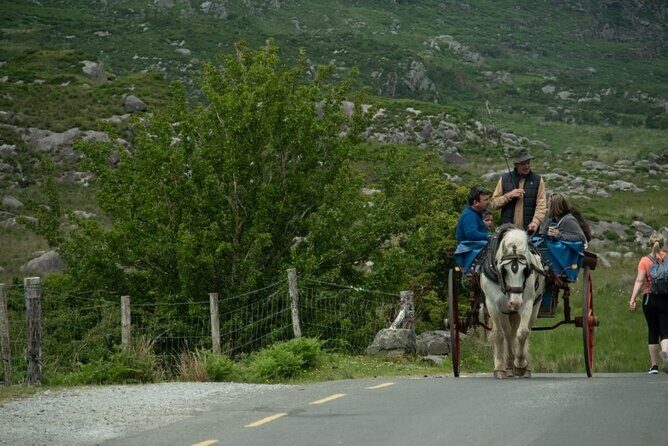 Bus, Boat & Jaunting Cart Tour (Jaunting Cart Paid Separately) - FAQs