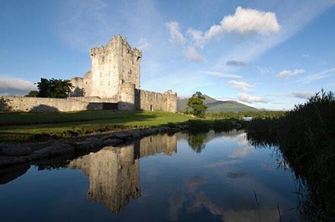 Bus & Boat Tour - Exploring the Killarney Bus & Boat Tour: An Authentic Irish Experience