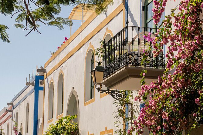 Bus to the local market of Puerto de Mogan - Summary of the Value
