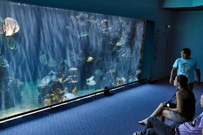 Bus Tour to Multiple Stops EN in Nouméa - A Deep Dive into the Itinerary