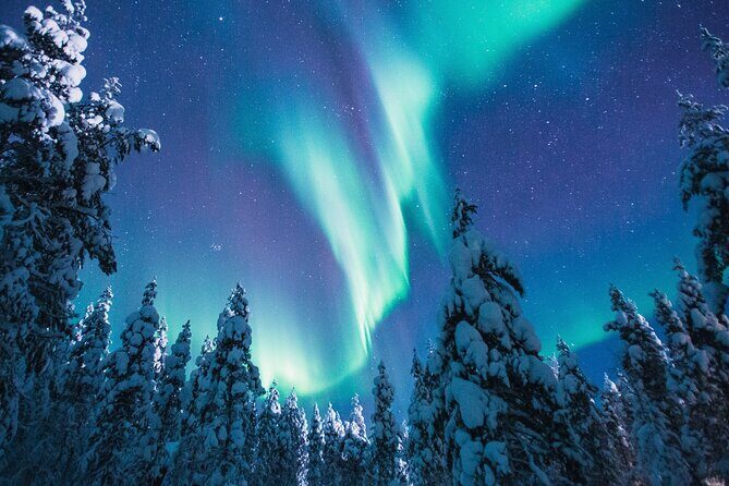 Bus Tour with Hunting Northern Lights - Key Points