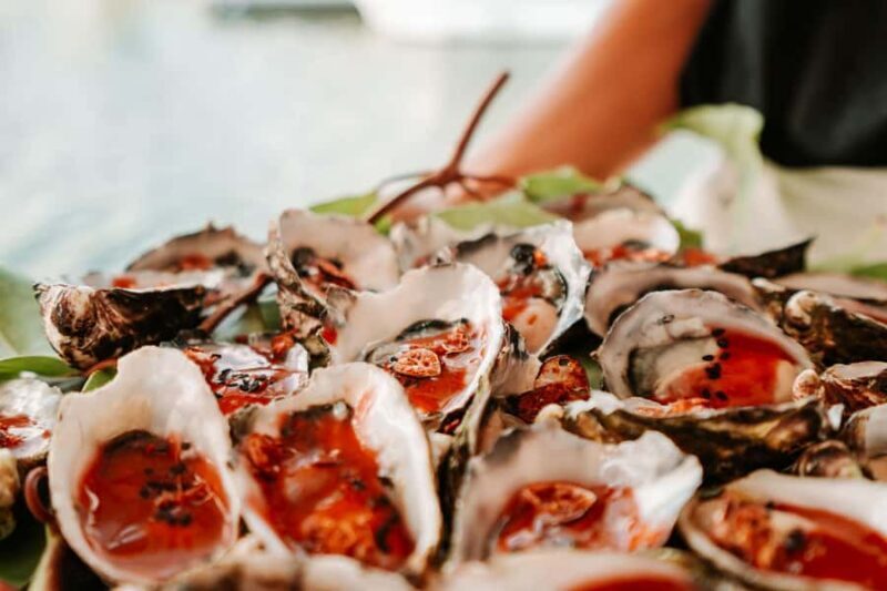 Bushtucker Cultural Cruise - An In-Depth Look at the Bushtucker Cultural Cruise