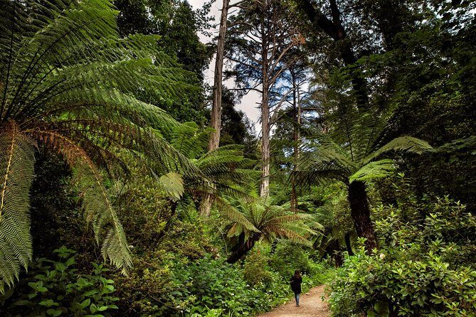Bussaco Palace, Gardens & Forest | Private Tour - Final Thoughts