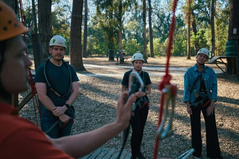 Busselton: Forest Adventure with Zip Lining and Rope Course - Key Points