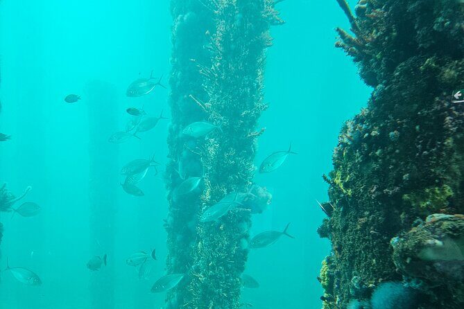 Busselton Jetty and Underwater Observatory - Key Points