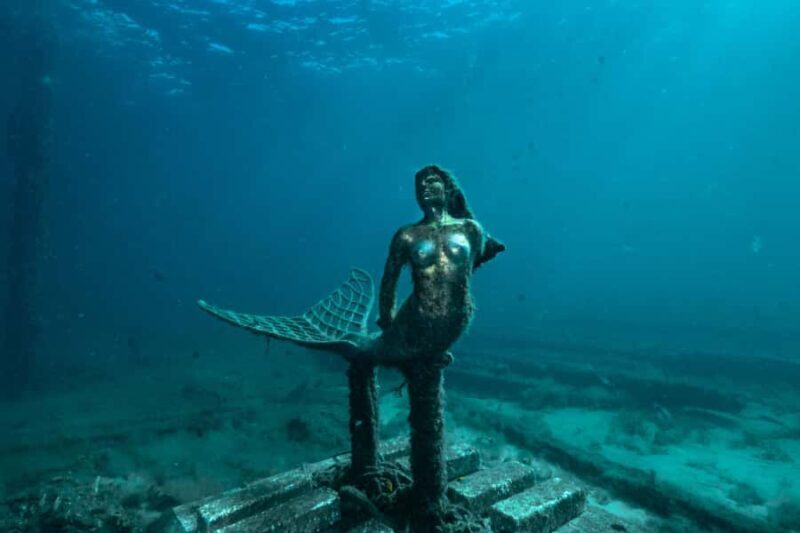 Busselton: Jetty Discover Scuba Diving Experience - Key Points