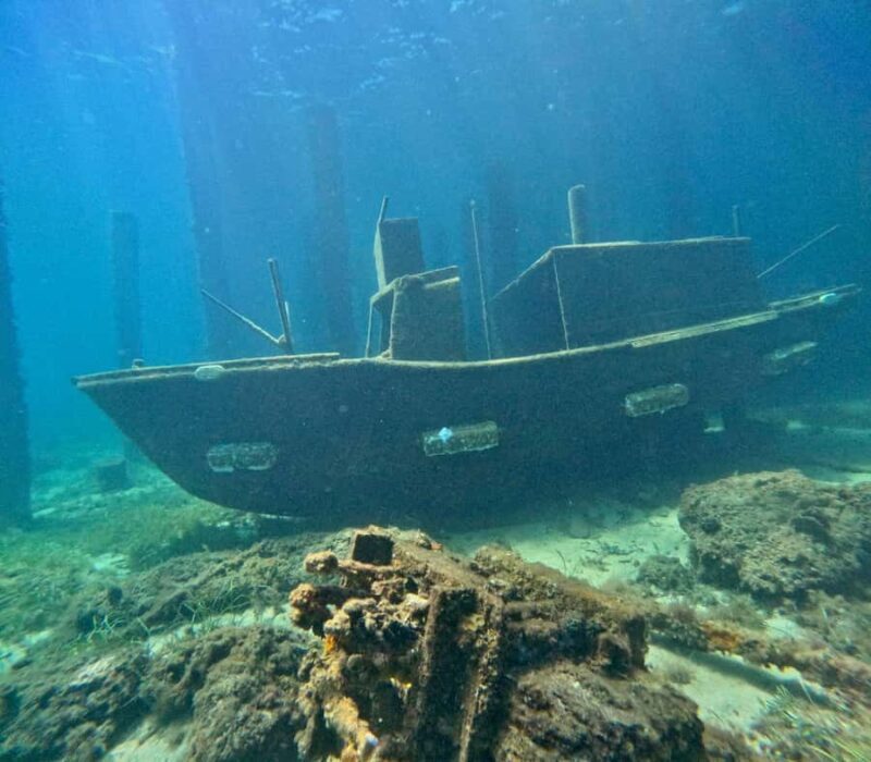 Busselton: Jetty Scuba Dive Tours with Underwater Sculptures - An Overview of What Makes This Tour Special