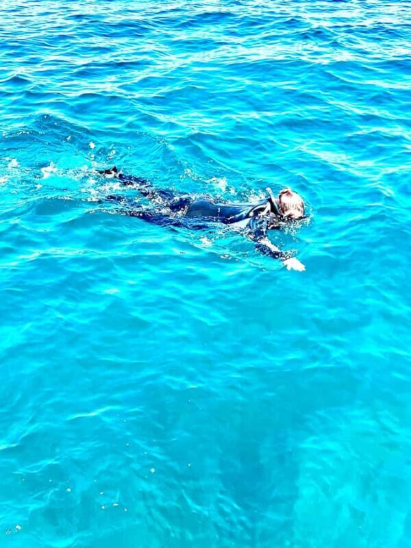 Busselton: Jetty Snorkeling Tour with Underwater Sculptures - Key Points