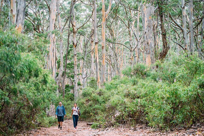 Busselton, Margaret River and Augusta 2-Day Tour from Perth - Key Points