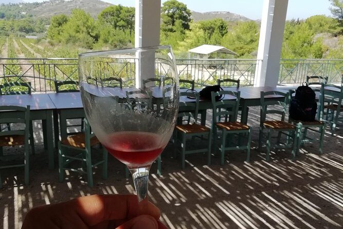 Butterflies Valley & Wine Tasting Experience Private Tour - A Thorough Look at the Itinerary