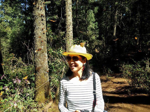 Butterfly Monarch Tour from Mexico City - Who Would Love This Tour?