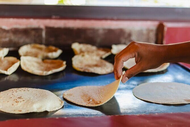 Butterfly Sanctuary and Lunch Experience with Transport - What Makes This Tour Stand Out