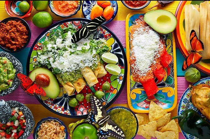 Butterfly Sanctuary and Lunch Experience with Transport - Who Will Love This Tour?