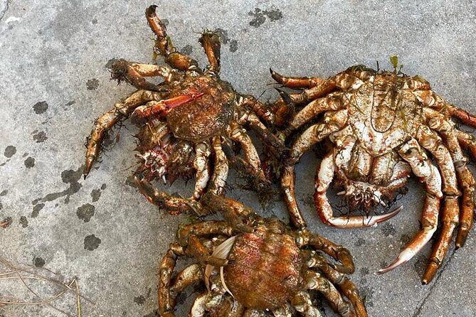 Buy, Cook & Taste-Gastronomic Tour North Portugal - What’s the Value?