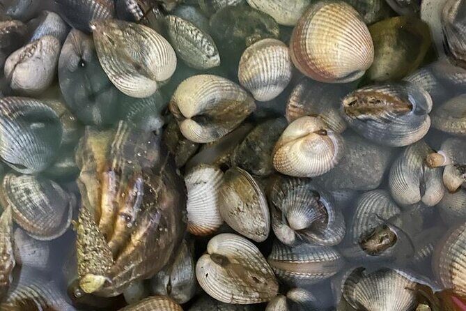 Buy, Cook & Taste-Gastronomic Tour North Portugal - Final Thoughts: Who Will Love This Tour?