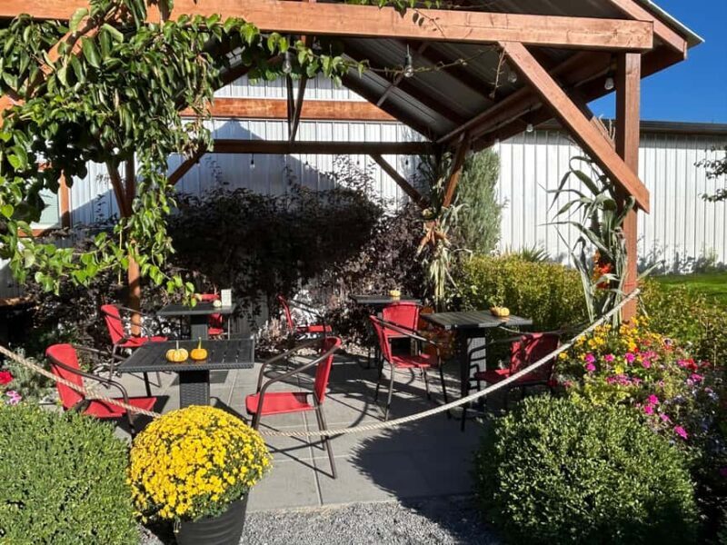 Buzz + Bites! Lunch for Two in East Kelowna - Why This Tour Works for Different Travelers
