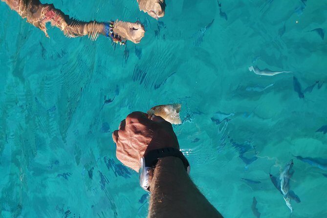 By boat between the sea and the most beautiful beaches! Capo Vaticano - Tropea - Briatico - FAQs