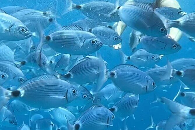 By Catamaran to the La Maddalena Archipelago from Poltu Quatu - Is This Tour Right for You?