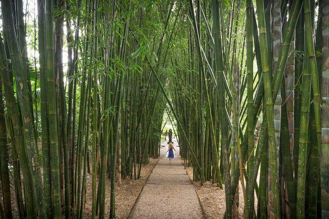 Byron Bay and Beyond Tour Including Cape Bryon Lighthouse Crystal Castle and Bangalow - Why This Tour Will Suit You