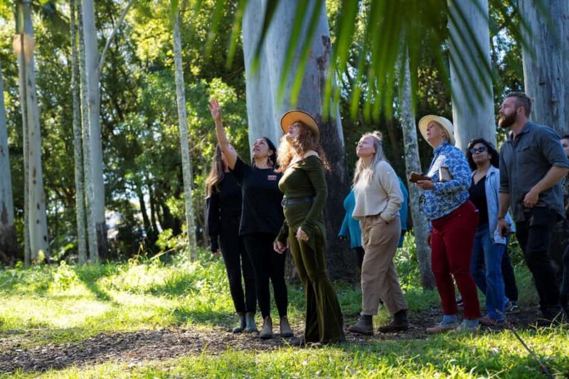 Byron Bay: Bangalow Bush Tucker Tour - FAQs