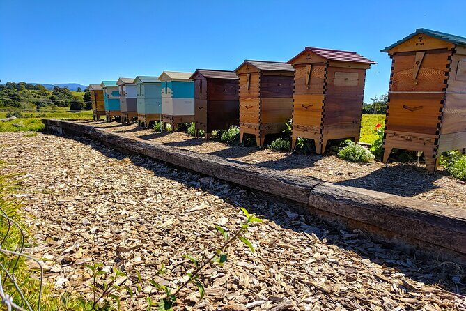 Byron Bay, Bangalow & Gold Coast Day Trip from Brisbane - Pricing & Value