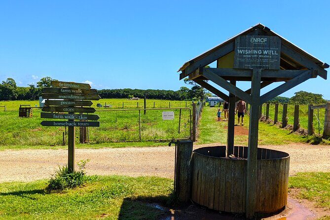 Byron Bay, Bangalow & Gold Coast Day Trip from Brisbane - Authentic Experiences & Highlights Based on Reviews