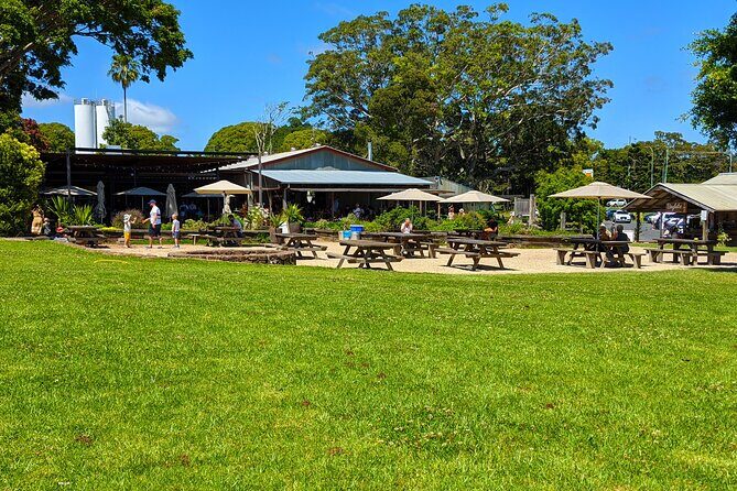 Byron Bay, Bangalow & Gold Coast Day Trip from Brisbane - The Sum Up