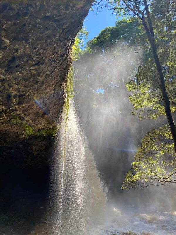 Byron Bay: Behind The Bay Waterfalls & Hidden Gems Day Tour - In-Depth Review of the Experience