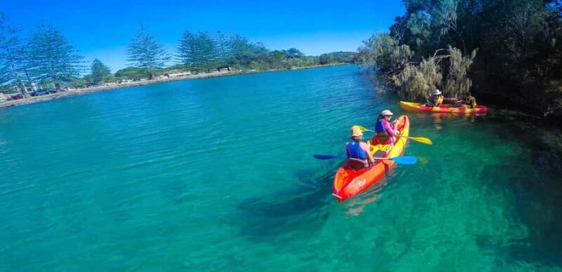 Byron Bay: Brunswick River Scenic Kayak Tour - Exploring the Brunswick River: A Scenic Kayak Tour Review