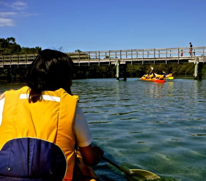 Byron Bay: Brunswick River Scenic Kayak Tour - Practical Details: What You Need to Know