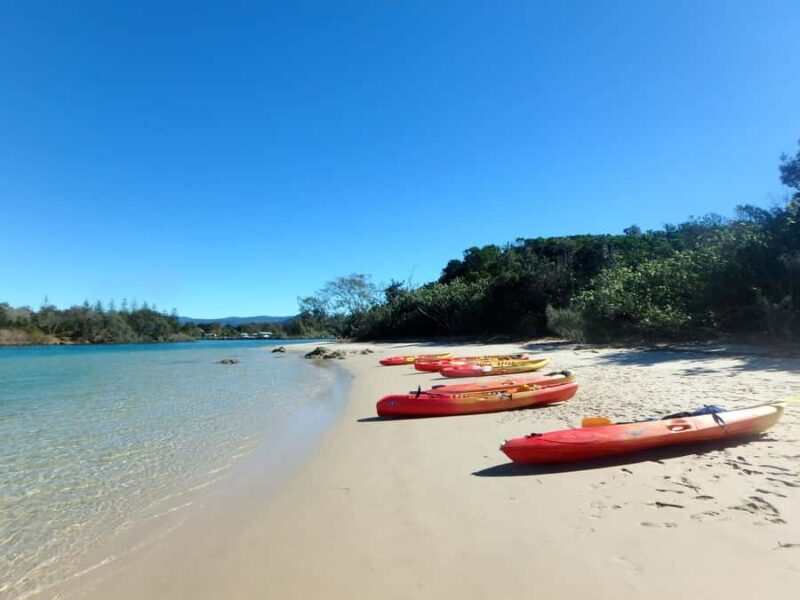 Byron Bay: Brunswick River Scenic Kayak Tour - Who Is This Tour Best For?