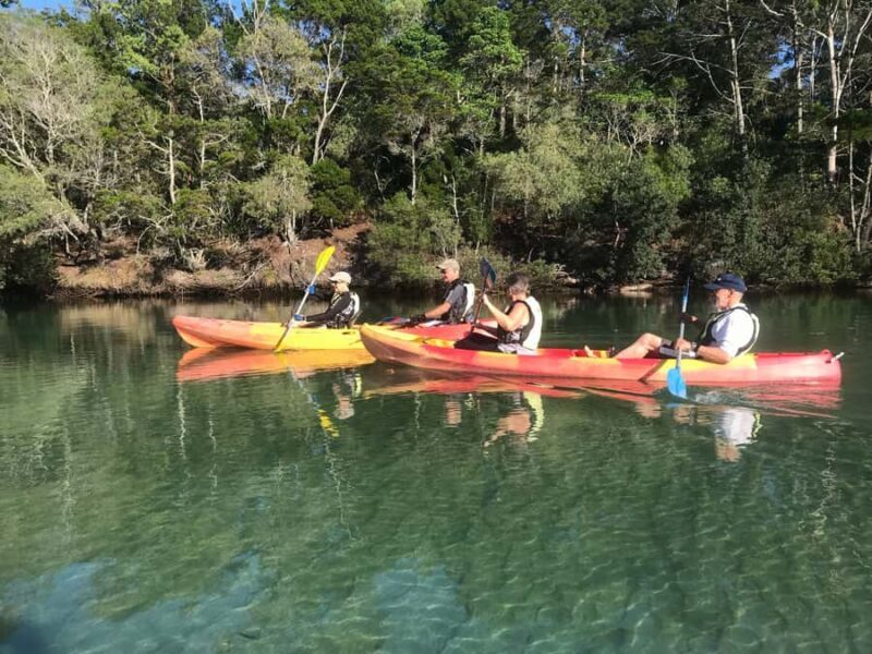 Byron Bay: Brunswick River Scenic Kayak Tour - Final Thoughts