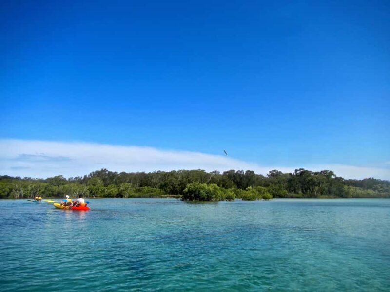 Byron Bay: Brunswick River Scenic Kayak Tour - FAQ