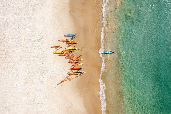 Byron Bay Discovery Day from Gold Coast - Why Choose This Tour?