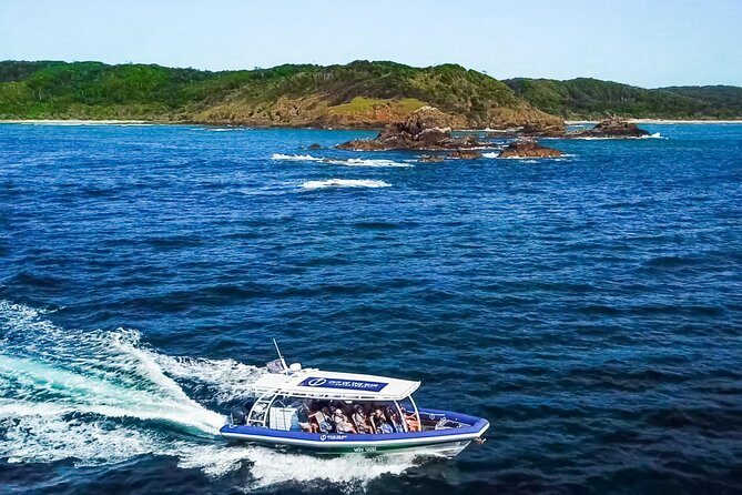 Byron Bay Dolphin Tour - Ocean Safari - Key Points