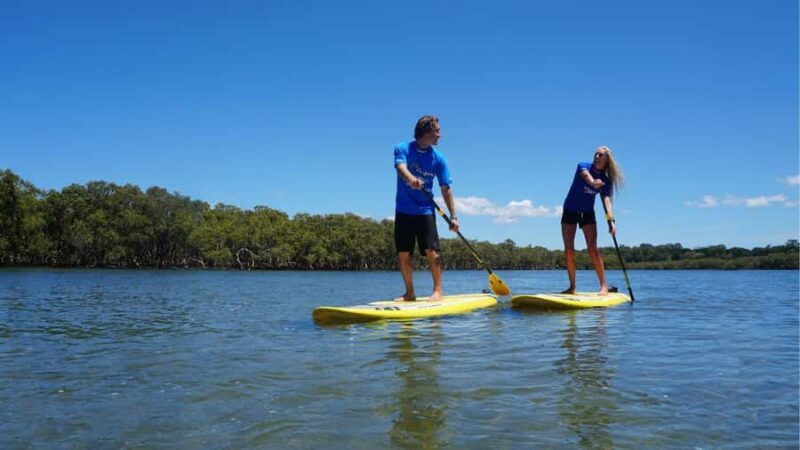 Byron Bay: Group 2.5 Hour Stand-Up Paddle Board Tour - Who Will Love This Experience?