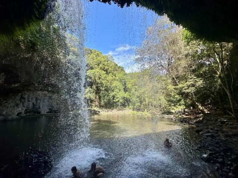 Byron Bay: Rainforest Waterfalls Guided Eco Tour - Key Points