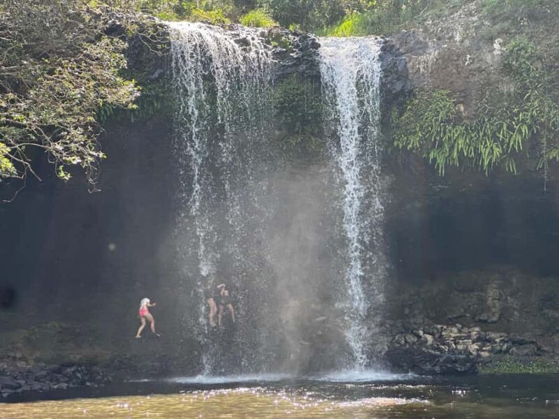 Byron Bay: Rainforest Waterfalls Guided Eco Tour - Practicalities & Value for Money