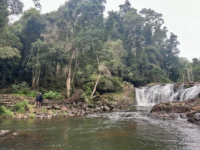 Byron Bay: Rainforest Waterfalls Guided Eco Tour - Frequently Asked Questions