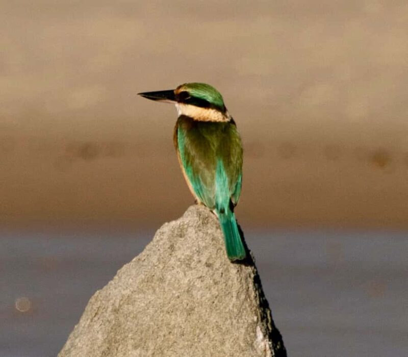 Byron Bay: Scenic Sunset River Cruise - Price and Value