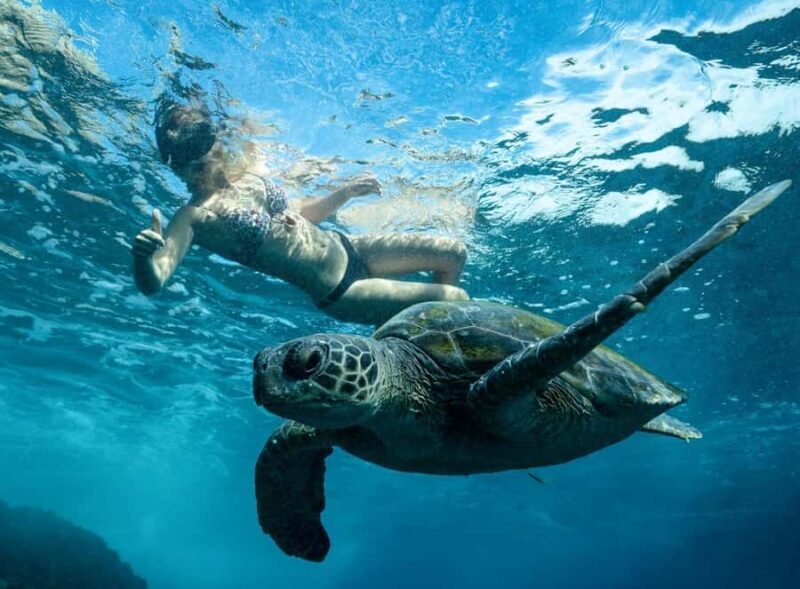 Byron Bay: Snorkeling Tour at Julian Rocks, Nguthungulli - Authentic Insights from Reviewers